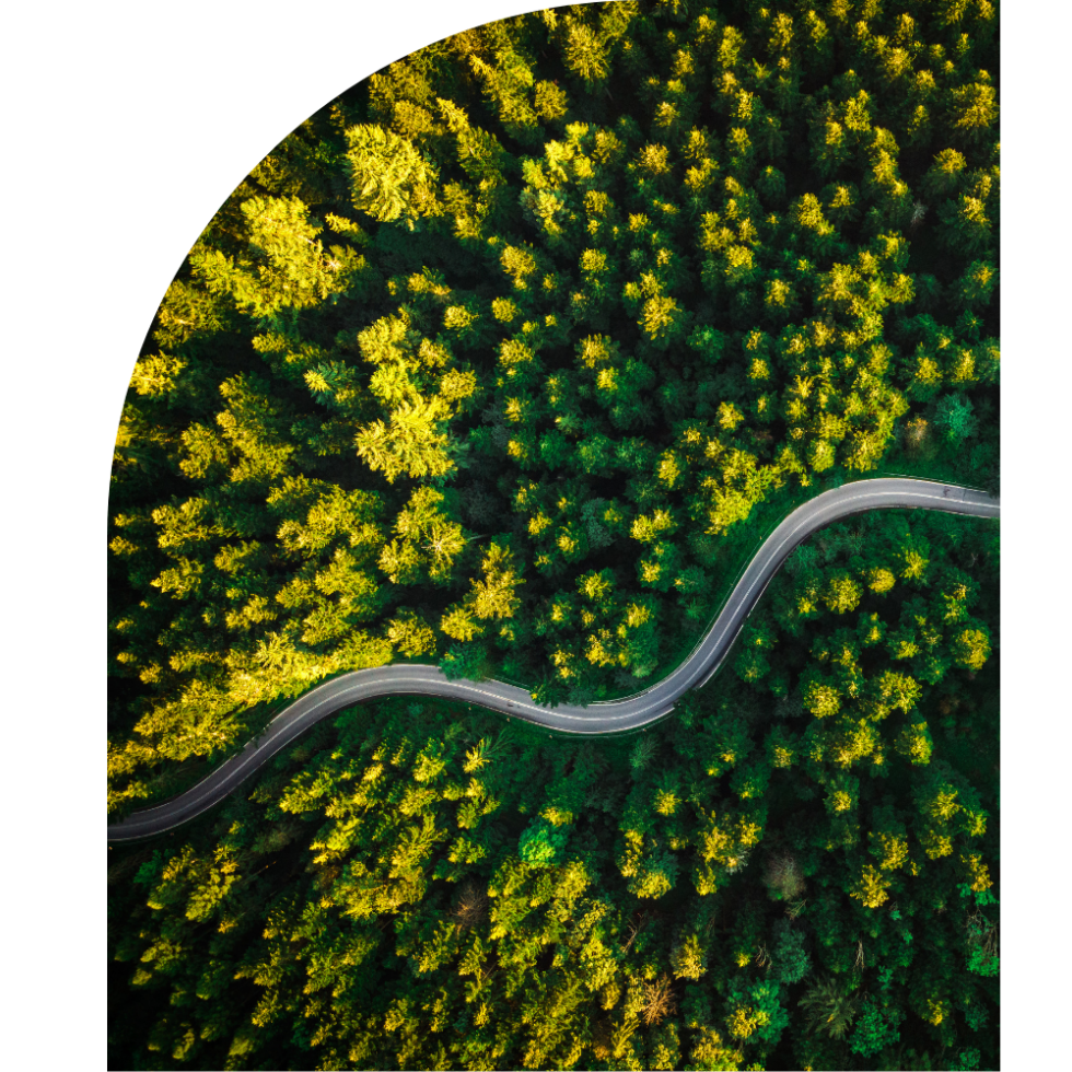 S Curve Forecasting Anterra Technology